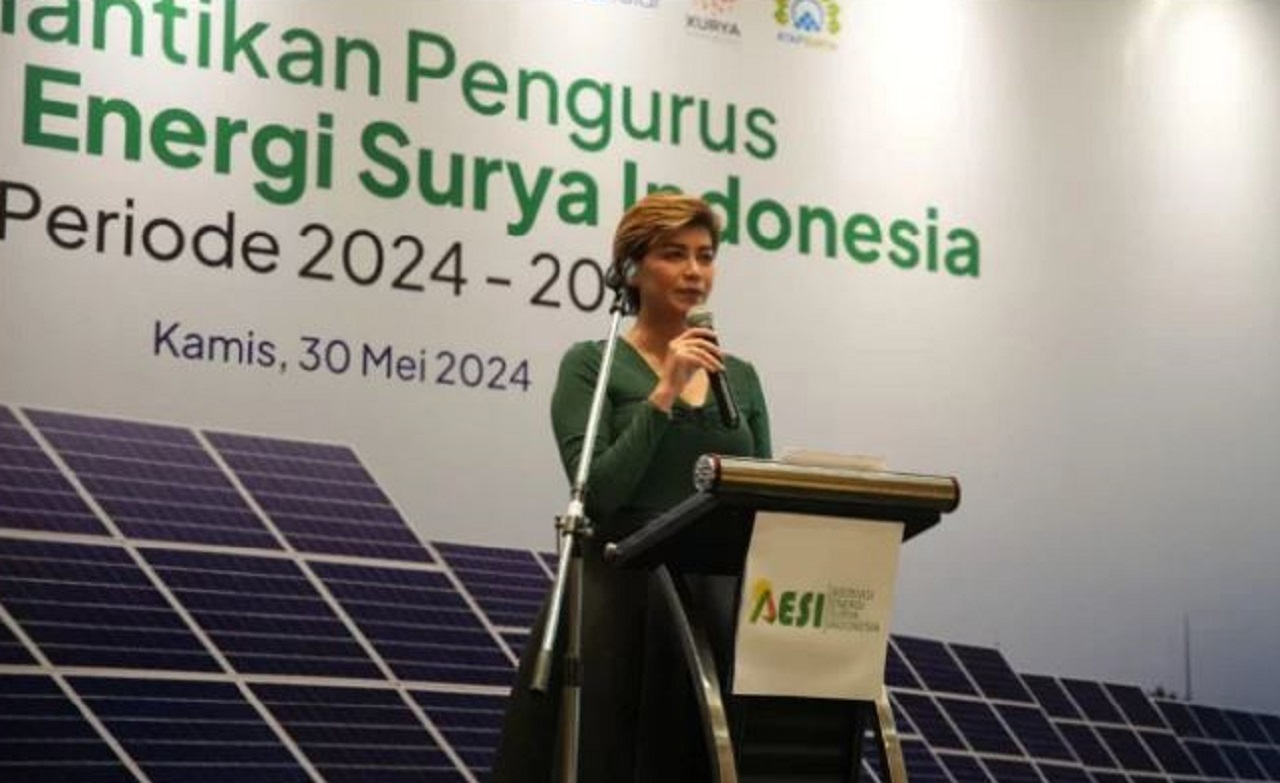 AESI appoints new board, aims to fill 7-10 GW clean energy gap ...