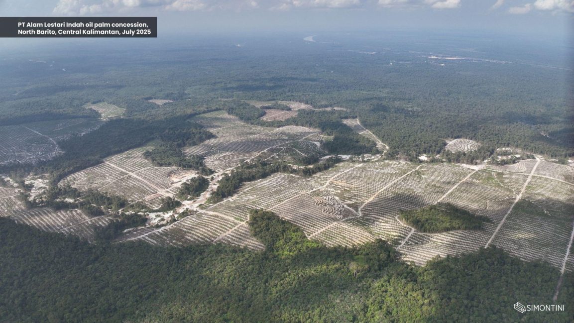 Deforestation in Indonesia surges 66% in 2025, driven by policy and ...
